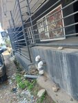 102 (Walaketakaa Lane No:4), bar  Akra'dan