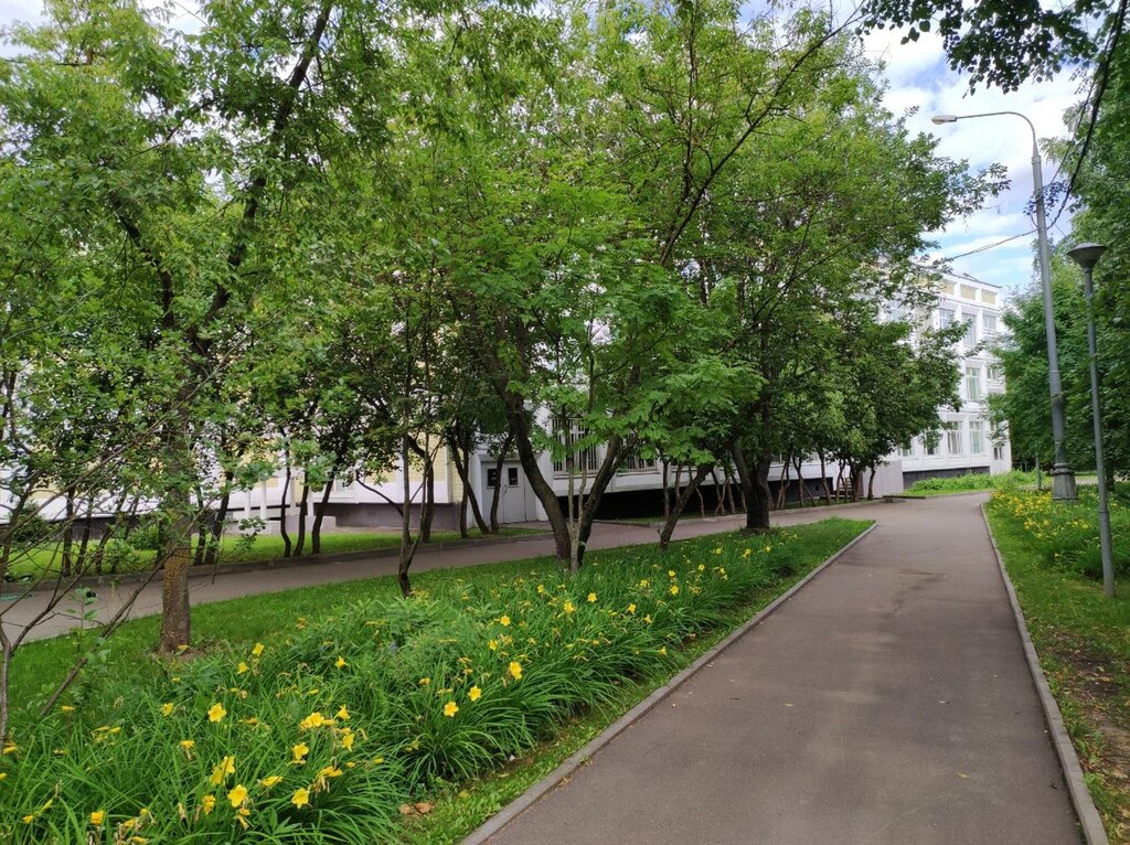 Spor kulüpleri Moscow Martial Arts Studio, Moskova, foto