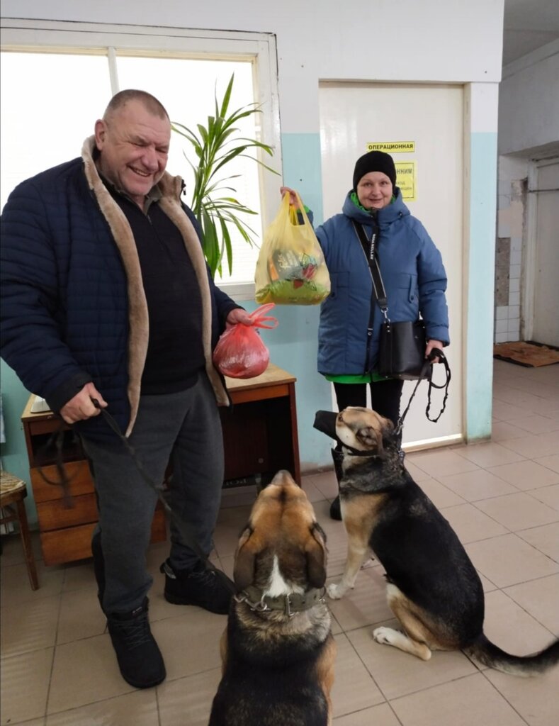 Veteriner klinikleri Ветеринарная клиника, Ustugna, foto