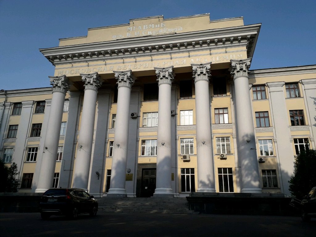 Banka Bank Avangard, Moskova, foto