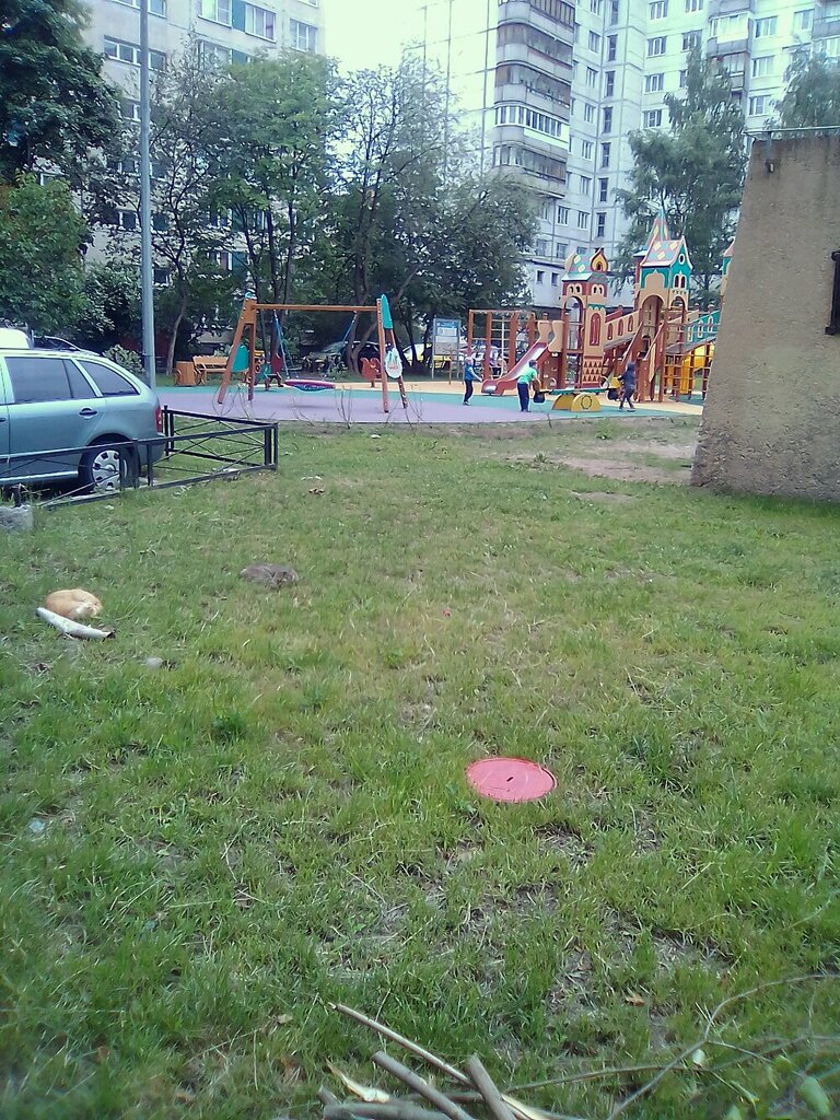 Oyun alanı Playground, Saint‑Petersburg, foto