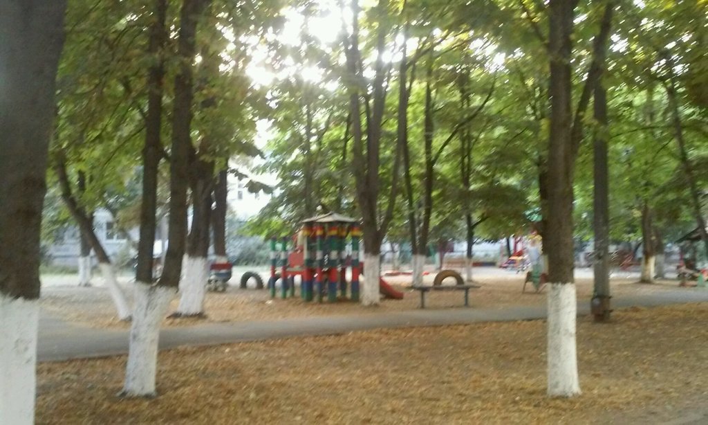 Oyun alanı Playground, Krasnodar, foto