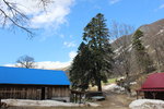 Tourist shelter Upper Chub (Republic of Adygea, Maykopsky District, Dakhovskoye selskoye poseleniye), tatil köyleri  Adıge Cumhuriyeti'nden