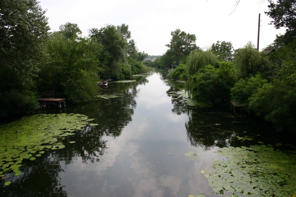 Kültür ve eğlence parkları Nyzniodniprovsky National Nature Park, Kerson Bölgesi, foto