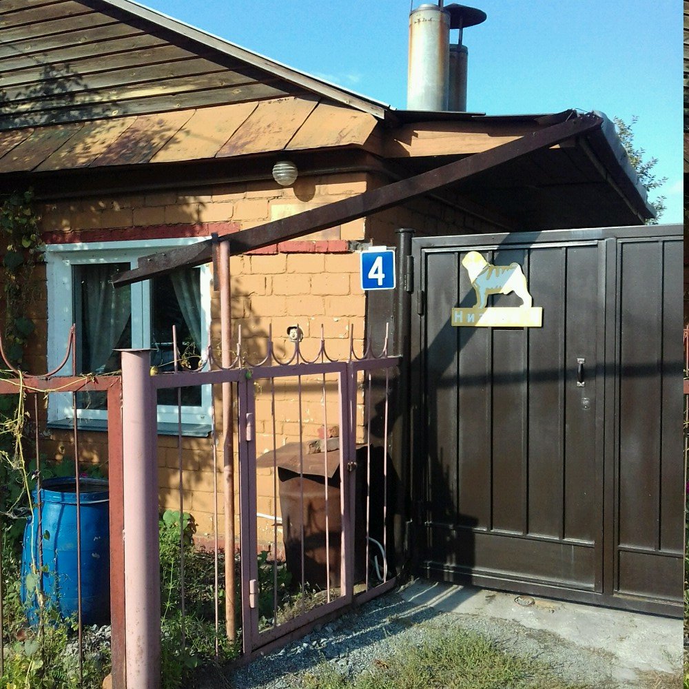 Evcil hayvan yetiştiricileri Pitomnik mopsov Brisherami, Çeliabinsk, foto