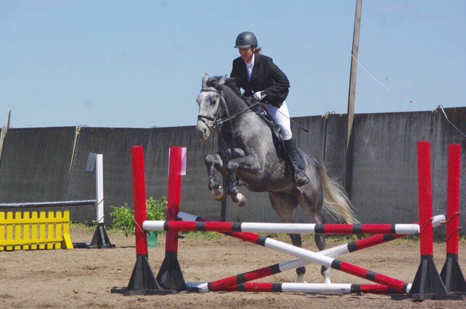At ve binicilik kulüpleri Аврора, Moskova ve Moskovskaya oblastı, foto