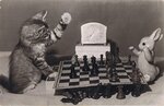 3chess (Tikhvinsky Lane No:10-12к9), spor kulüpleri  Moskova'dan