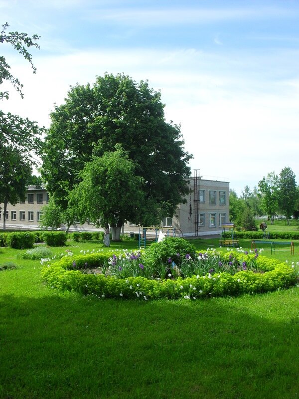 Anaokulları Ясли-сад № 1 г. Черикова, Çerikov, foto