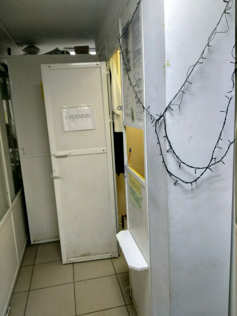 Rehincilik Gigant-lombard, Riazan, foto