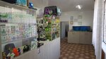 Kot Begemot (ulitsa Kirova No:70), veteriner klinikleri  Kirovsk'tan