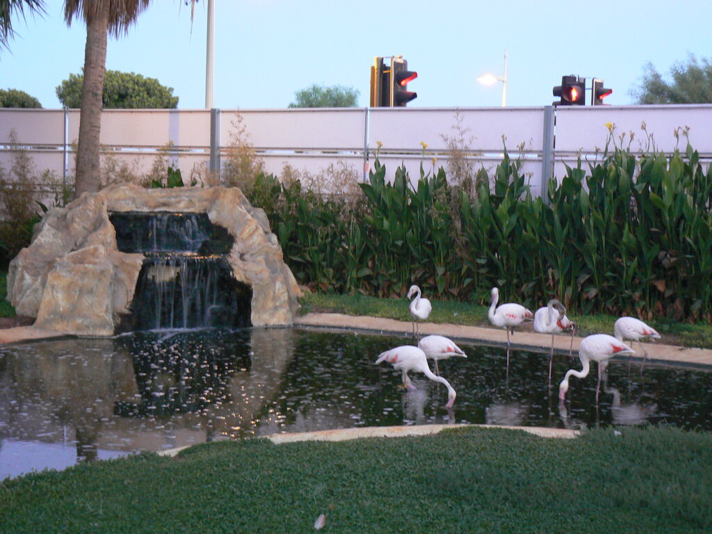 Hayvanat bahçeleri Hayvanat bahçeleri, Limassol, foto