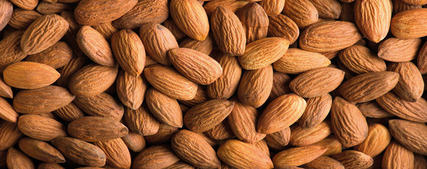 Tarım ürünleri firmaları Almendras Llopis S. A., Valensiya, foto