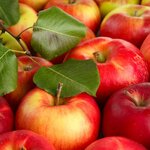 Supermercato della Frutta (Friuli-Venezia Giulia, Udine, Via Gemona, 72), market  Friuli‑Venezia Giulia'dan