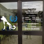 Ambulatorio Veterinario Associato Altotevere dei dott. M. Valentini & A. Casini (Umbria, Perugia, Via Gioacchino Rossini, 16), veteriner klinikleri  Umbria'dan