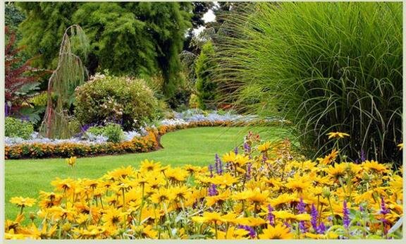 Bahçe ekipmanları ve teknolojileri Spieles Nurseries, Lima, foto
