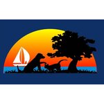 Emmerson Animal Hospital (United States, Dorchester, 255 Freeport St), petshop  Boston'dan