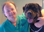 Clinica Veterinaria SalusVet - Dr. Raffaele Amalfitano (Campania, Benevento, Vomero), veteriner klinikleri  Napoli'den