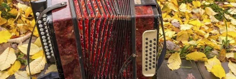 Müzik enstrumanların tamiri Scavello Strumenti Musicali, Calabria, foto