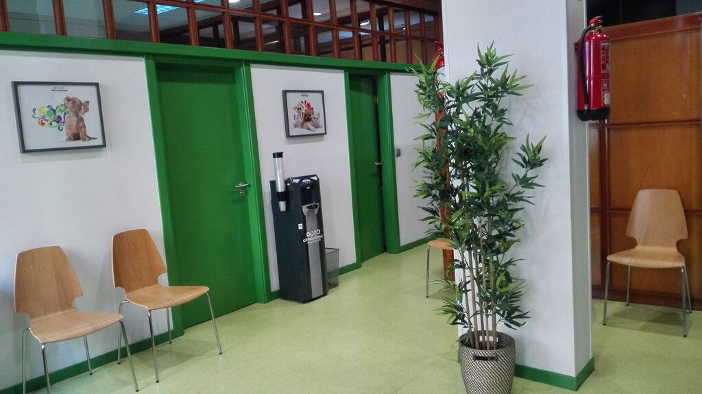 Veteriner klinikleri Clínica Veterinaria Conde Duque, Madrid, foto