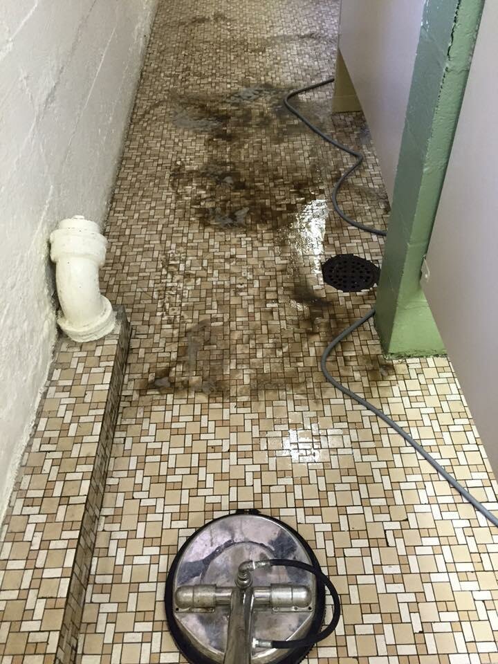 Halı yıkamacılar Encore Carpet Cleaning, Inc, İndiana Eyaleti, foto
