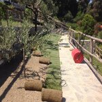 Green Art (Via Luigi Einaudi No:1, Albenga), peyzaj tasarımı  Albenga'dan