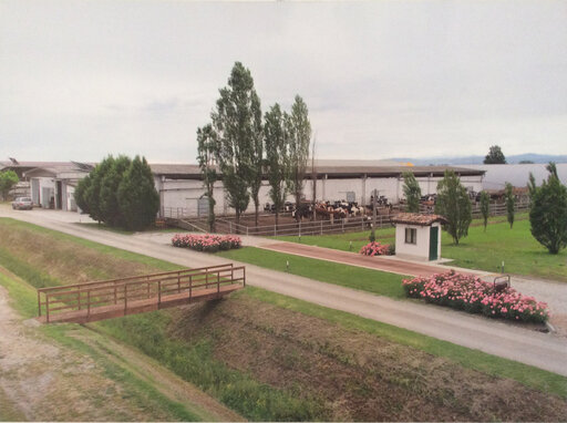 Toptan et ürünleri Azienda Agricola Cantarelli Claudia, Emilia‑Romagna, foto
