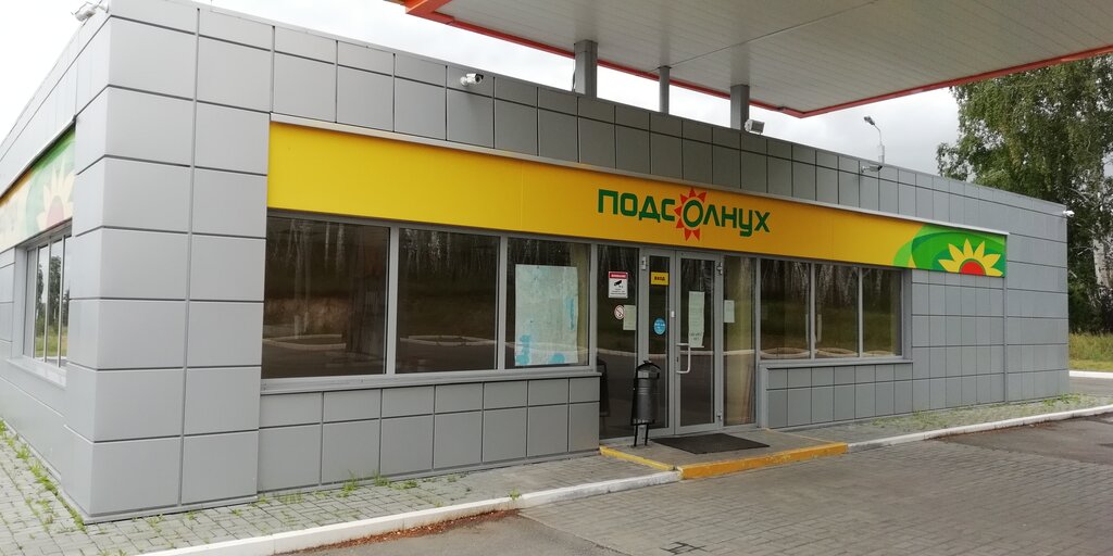 Benzin istasyonu Роснефть, Çeliabinskaya oblastı, foto