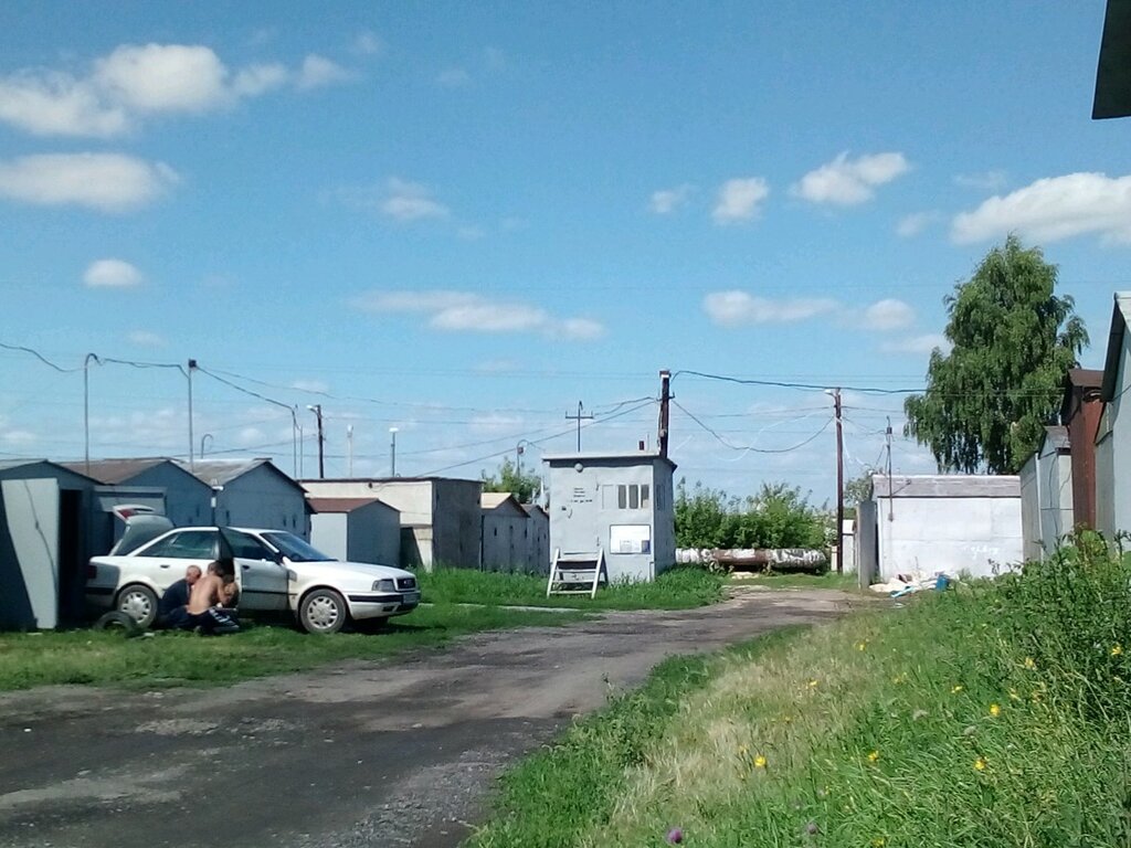 Garajlar Гаражный кооператив Полёт-42, Omsk, foto