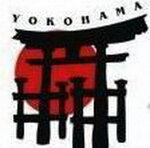 Yokohama (Amineva Street No:16А), otomobil yedek parçaları  Samara'dan