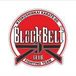 Black-Belt Vidnoe (Olkhovaya Street No:4), spor kulüpleri  Vidnoye'den