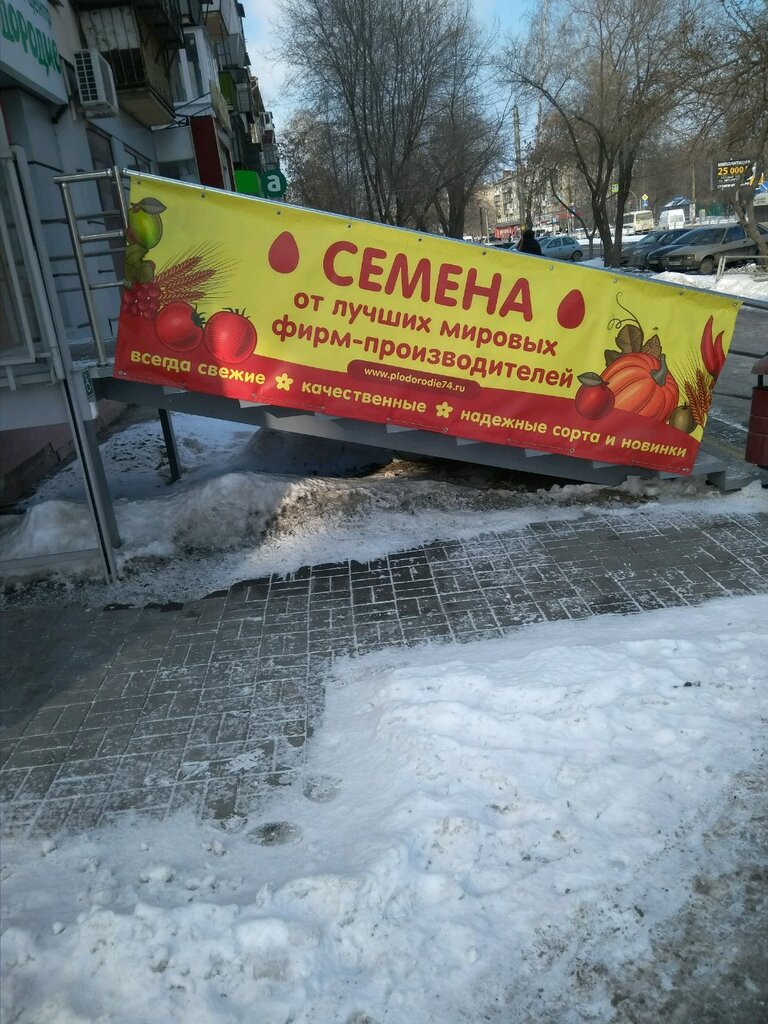 Sera ve bahçe ürünleri Плодородие, Çeliabinsk, foto