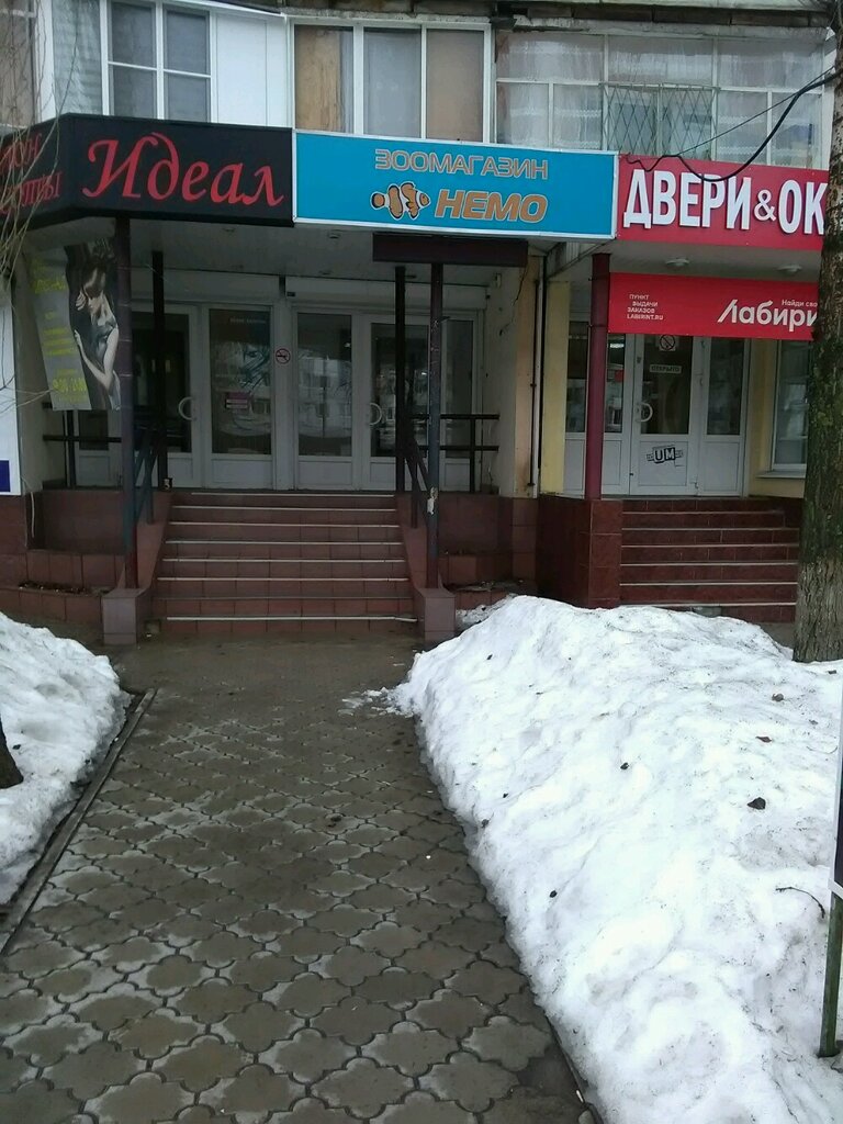 Petshop Немо, Voronej, foto