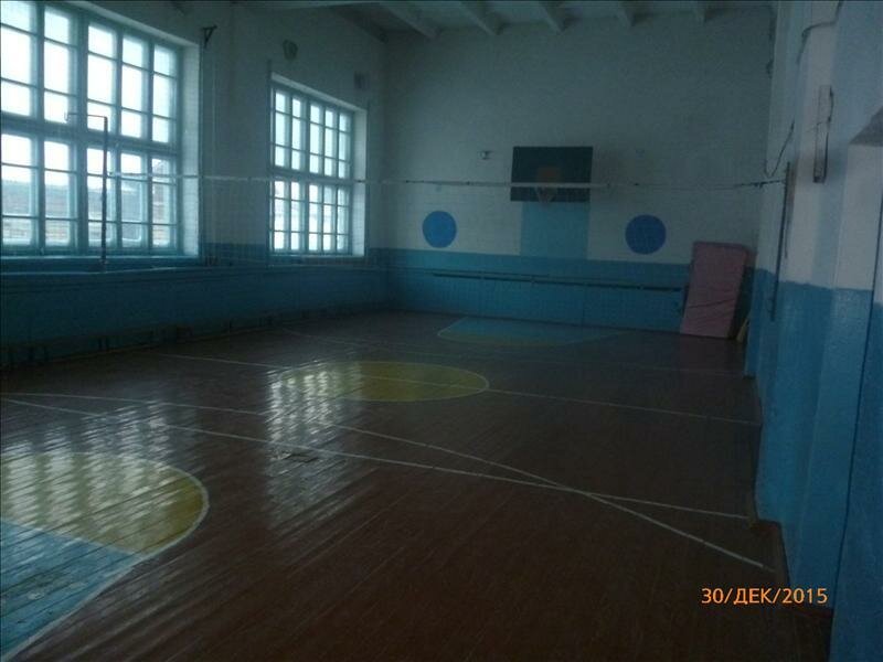 Ortaokul Камышинская средняя общеобразовательная школа, Novosibirskaya oblastı, foto