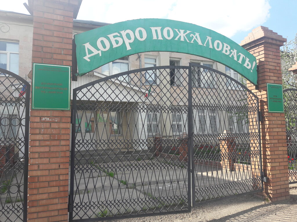 Meslek yüksekokulu Буинский ветеринарный техникум, Buinsk (Bua), foto