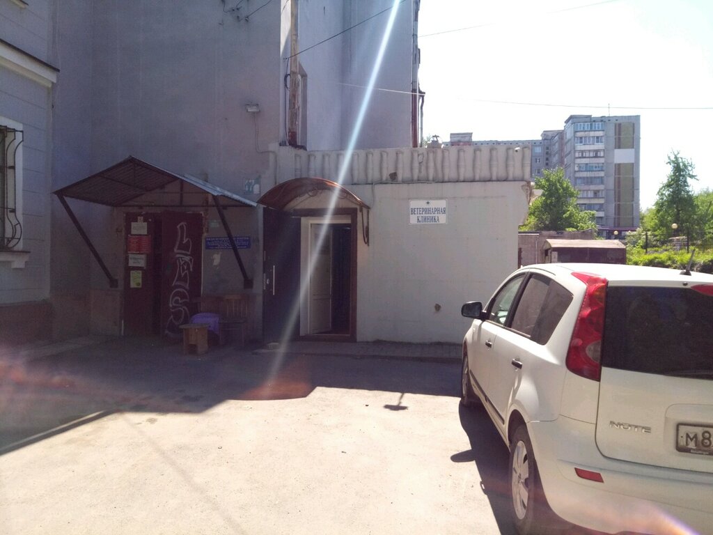 Veteriner klinikleri Центр ветеринарной помощи, Tula, foto