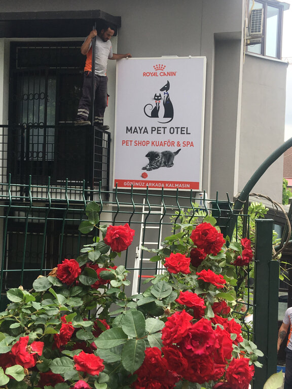 Pet otel Maya Pet Otel, İstanbul, foto