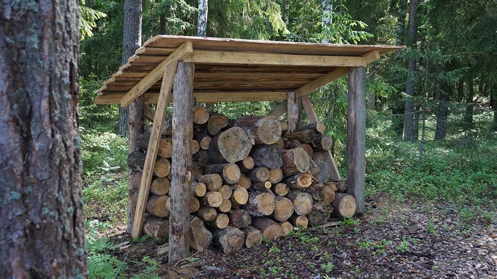 Kamp alanları Campsite Medvedno-3, Vitebskaya oblastı, foto