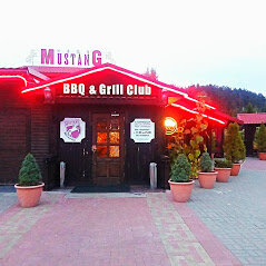 Mustang (Soniechnaja Street No:23А, Agricultural Settlement of Zhdanovichy), kafe  Minskaya oblastından