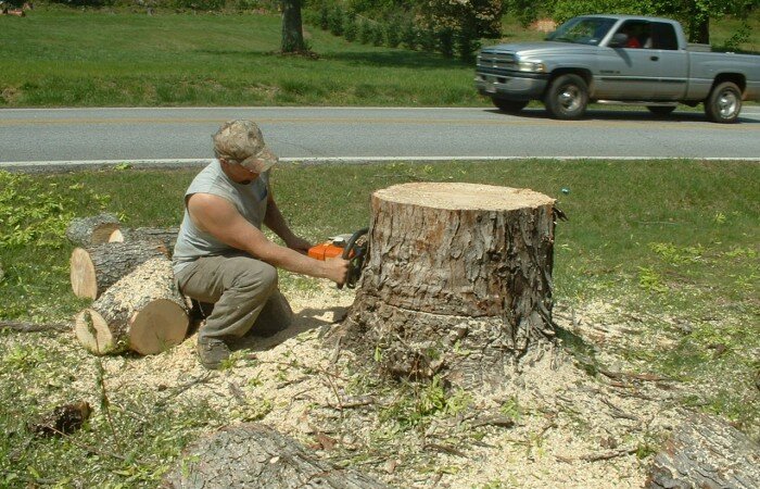 Bahçe ekipmanları ve teknolojileri Rts Arborists, LLC, Güney Carolina, foto