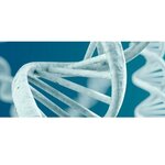 Laboratorio Analisi Calamia (Via Fiorenza No:6, Bisacquino), tıbbi laboratuvarlar  Sicilya'dan