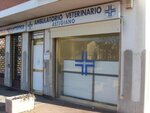 Ambulatorio Veterinario Astigiano Dott. Ssa Terzuolo Roberta (Marche, Ancona, Via Olof Palme, 15), veteriner klinikleri  Asti'den