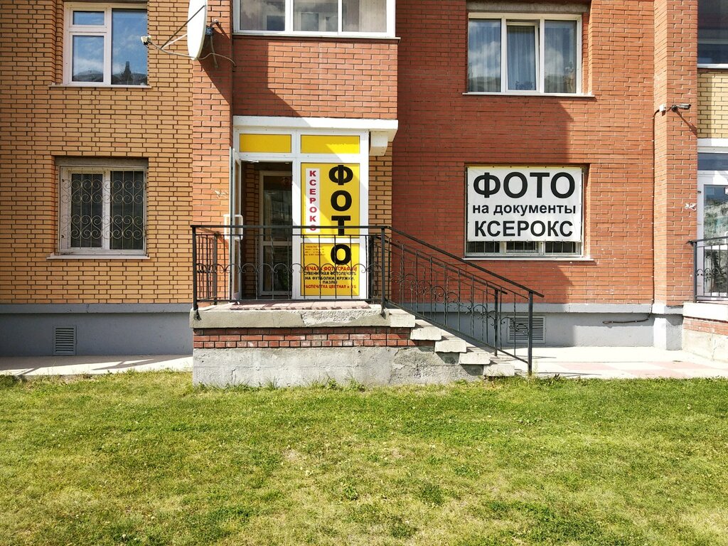 Fotoğraf hizmetleri ProFoto, Novosibirsk, foto