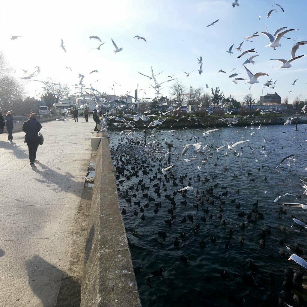 Cami Tavaklı Köyü Cami, Ezine, foto