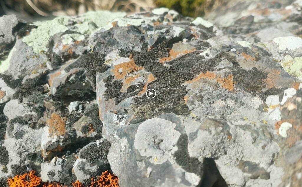 Muhtarlıklar Akçakale Köy Muhtarlığı, Kadışehri, foto