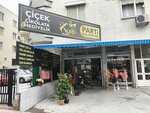 Amazon Pet Shop (Ulus Mah. Yahya Kemal Cad. Göksel Apt. D:40, Dokuma, Kepez, Antalya), petshop  Antalya'dan