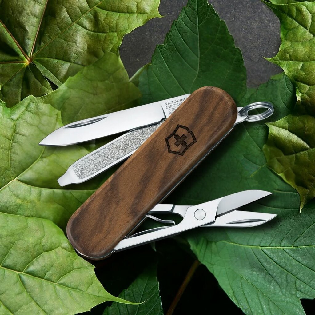 Yönetim ofisi Victorinox La Paz Bolivia - BVictorin, La Paz, foto