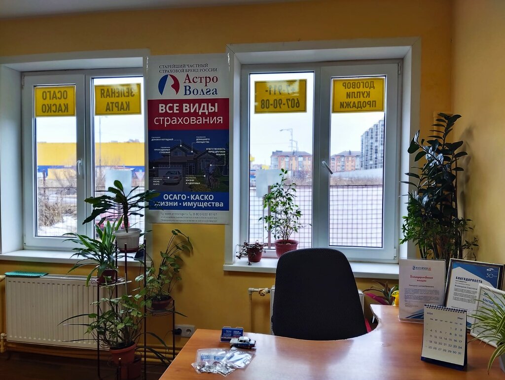 Sigorta şirketleri Астро-Волга, Velikiy Novgorod, foto