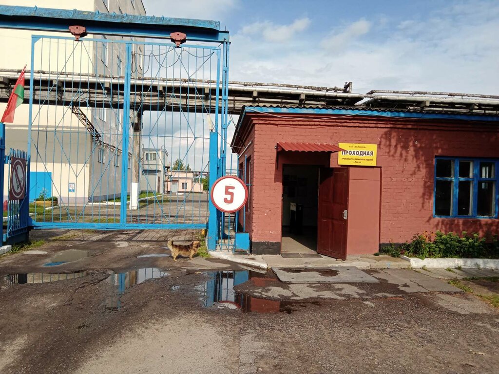 Kurye hizmetleri Автолайтэкспресс, Krichev, foto