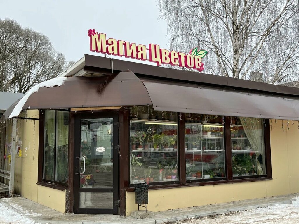 Çiçekçiler Магия Цветов, Kasimov, foto