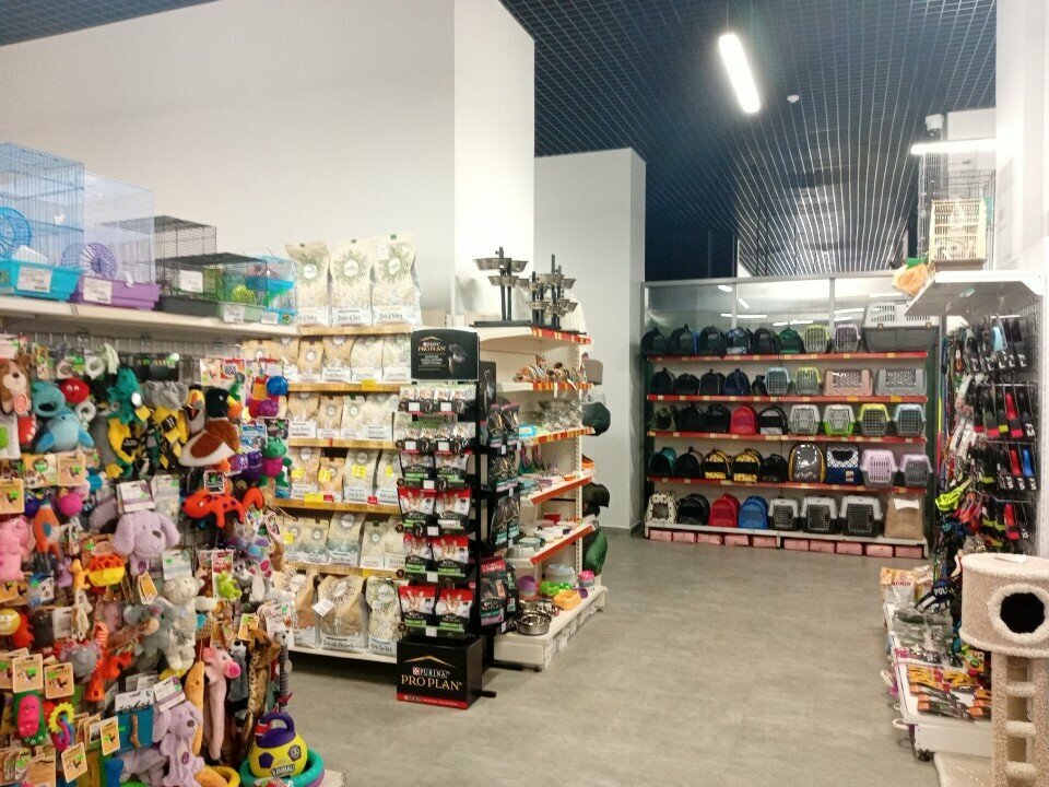 Petshop Какаду, Cherepovets, foto